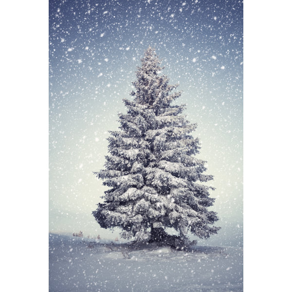Alpen Home Winter Tree by Borchee - Wrapped Canvas Art Prints | Wayfair ...