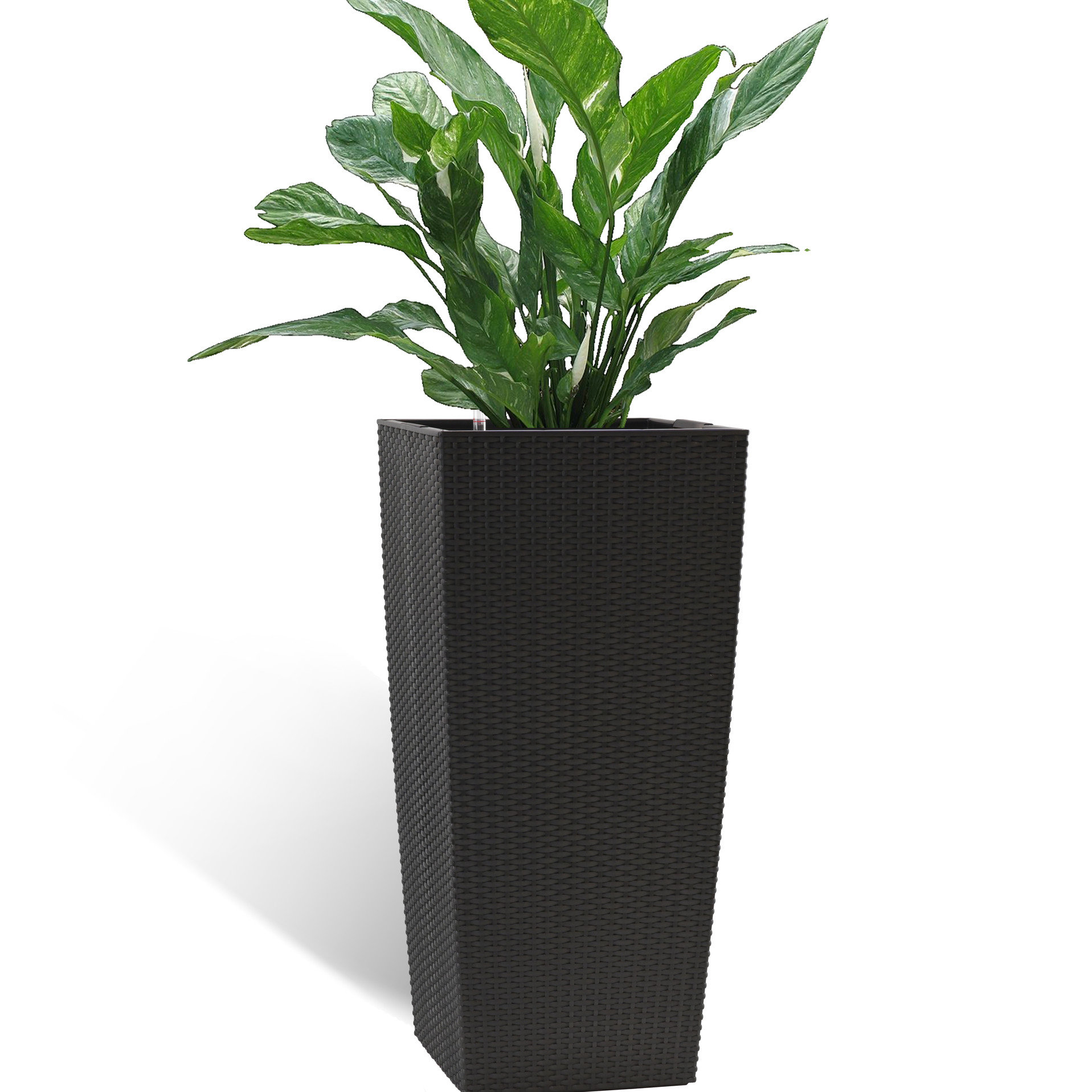 Latitude Run® Large Black 30-Inch Planter With Automatic Irrigation For ...