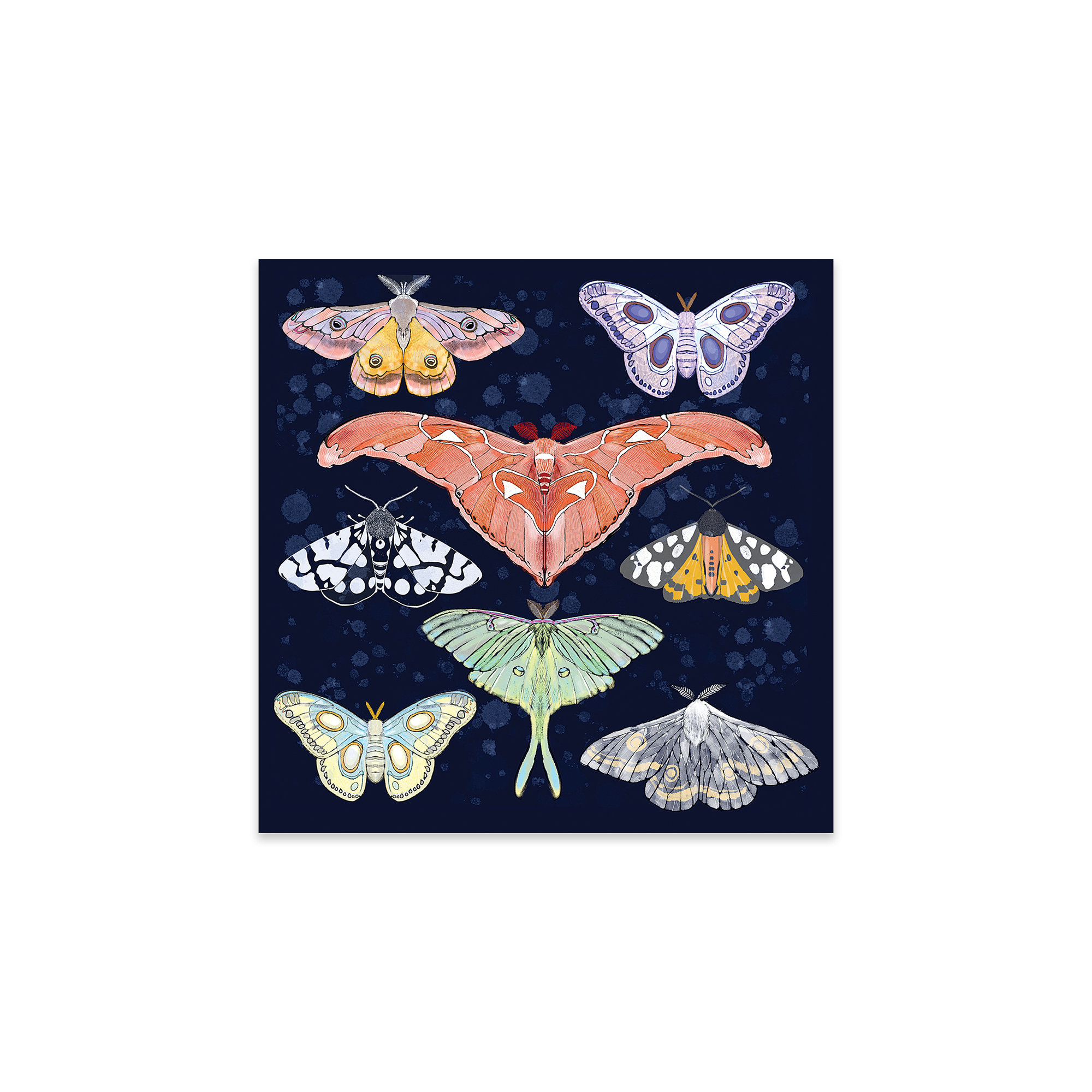 Winston Porter " Magical Moths " by Thomas Little - Wayfair Canada