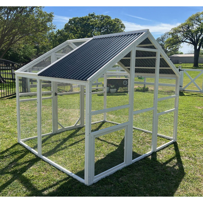 Zylina Modern Universal Poultry Pen - Medium | Wayfair