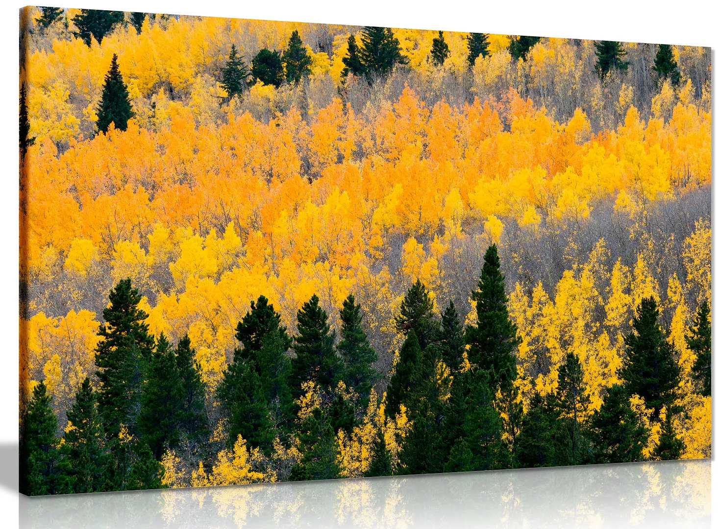 Panther Print Trees Yelllow Autumn Leaves Nature Canvas Wall Art ...