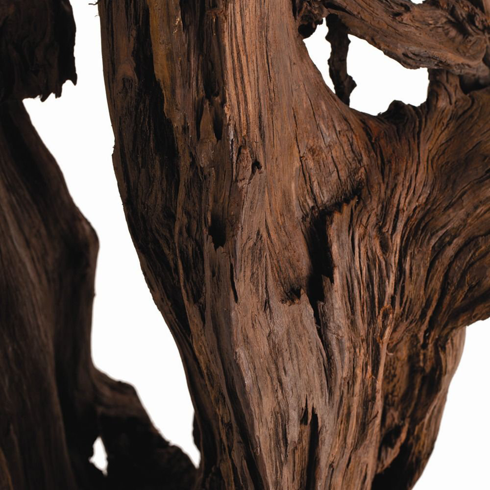 ARTERIORS Kazu Dragon Tree Sculpture & Reviews | Perigold
