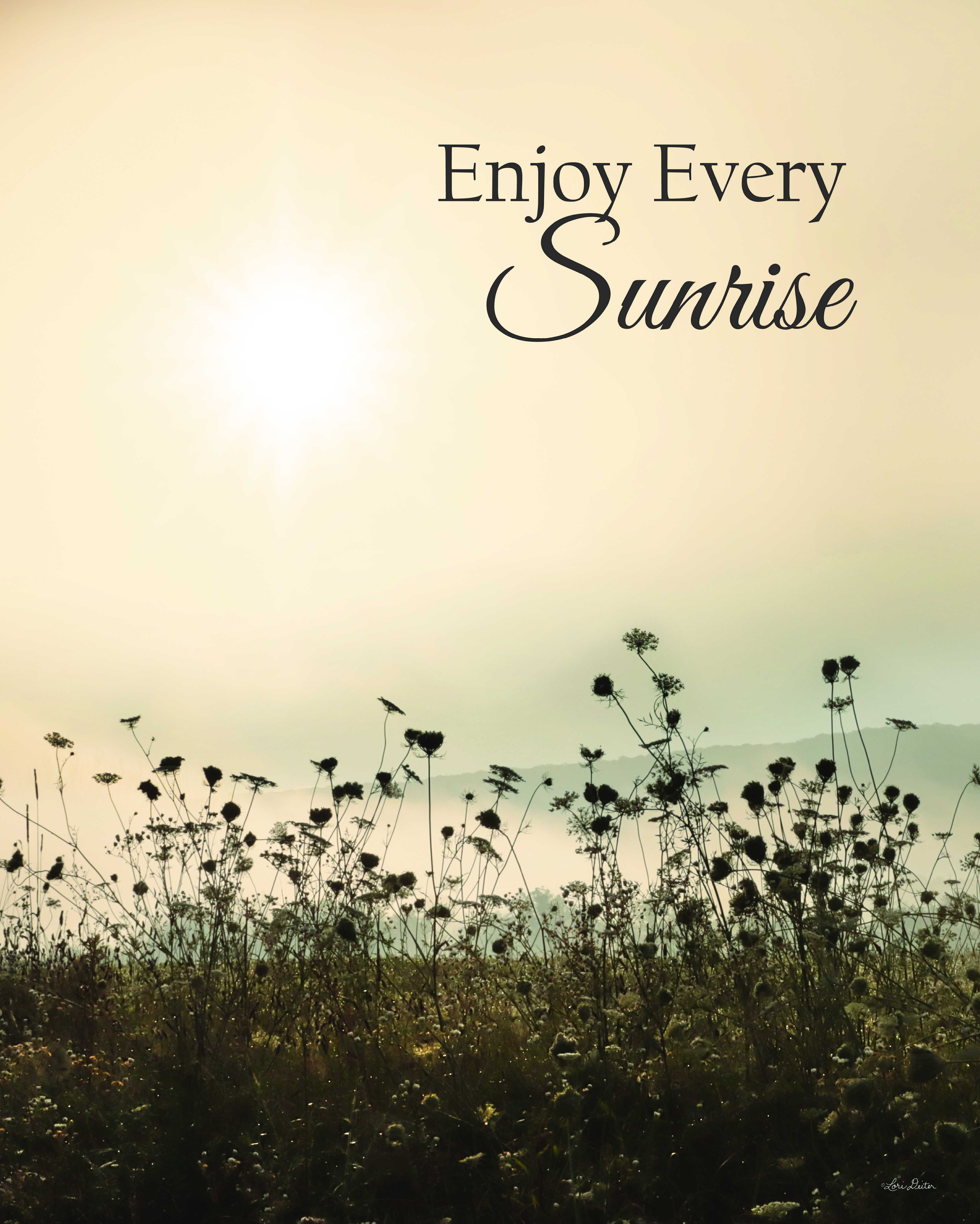 Trinx Enjoy the Sunrise by Lori Deiter - Wrapped Canvas Print | Wayfair