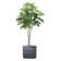 Vintage Home 65'' Faux Sycamore Tree in Pot & Reviews | Wayfair