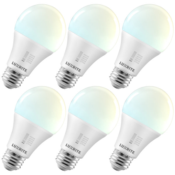 Luxrite 15 Watt E26/Medium (Standard) Dimmable 5000K Bulb | Wayfair