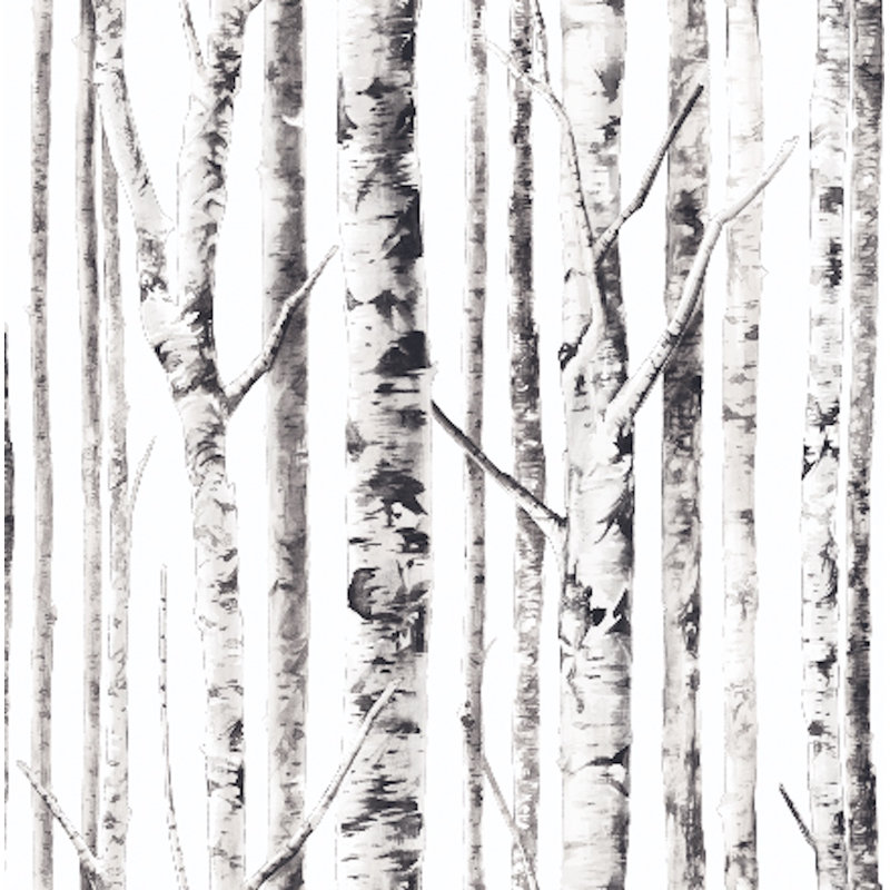 Loon Peak® Coward Forest 9' L x 27" W Wall Mural | Wayfair