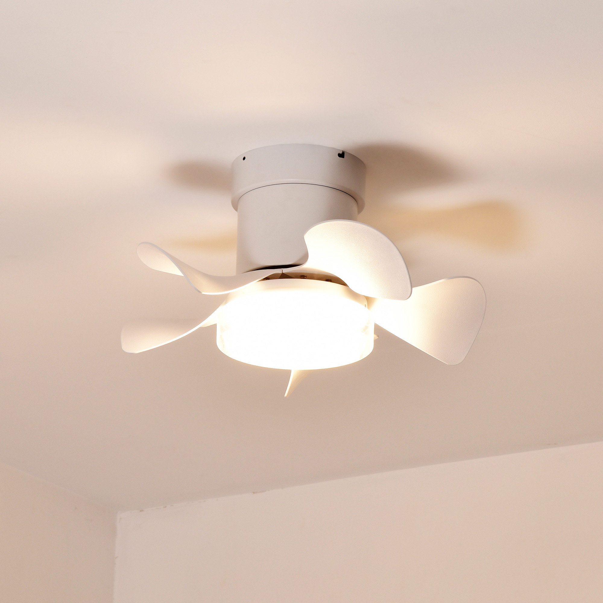 Ivy Bronx 21 Inch Ceiling Fan With 3 Color Temperatures Light And ...