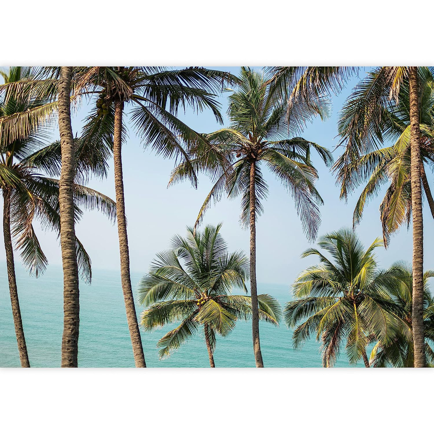 IDEA4WALL Vibrant Tropical Palm Tree Ocean Horizon Paintable Wall Mural ...