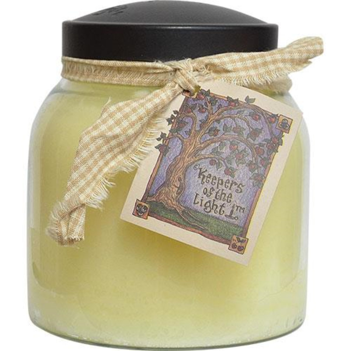 CWI Gifts Fresh Mcintosh Papa Jar Candle 34Oz - Wayfair Canada