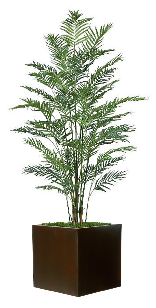 Bayou Breeze Square Palm Tree in Planter | Wayfair