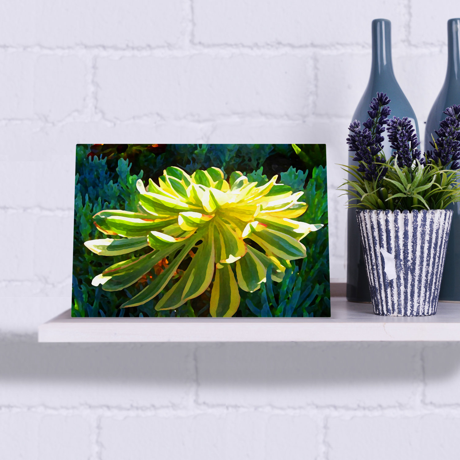 Latitude Run® Plants, Flowers, Abstract, Landscape, Nature, Sunburst ...