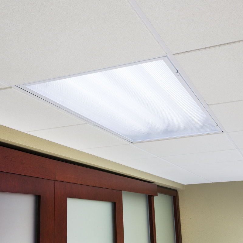 Genesis 2'x4' Light Panels & Reviews | Wayfair