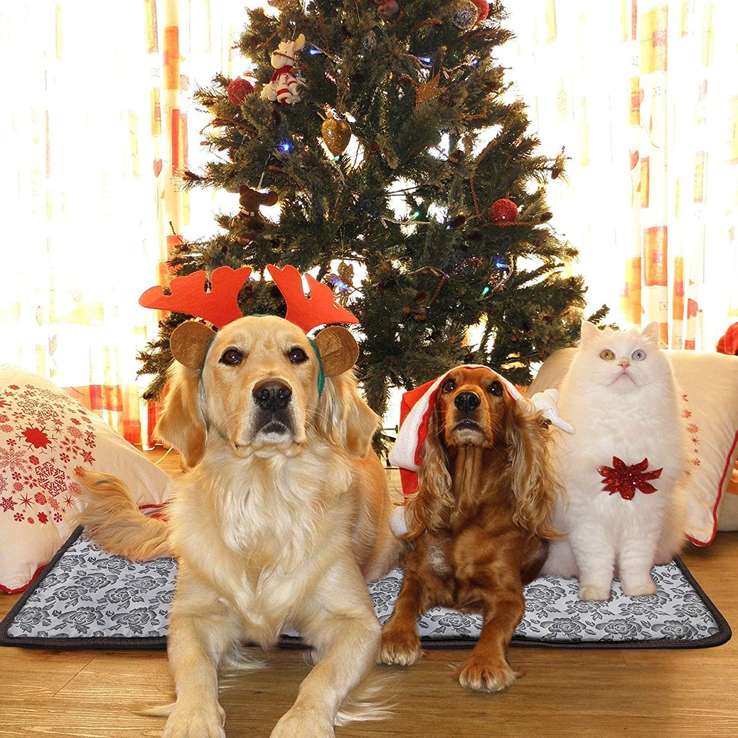 Tucker Murphy Pet™ Pet Heating Pad Large Dog Heating Pad Electric Cat ...