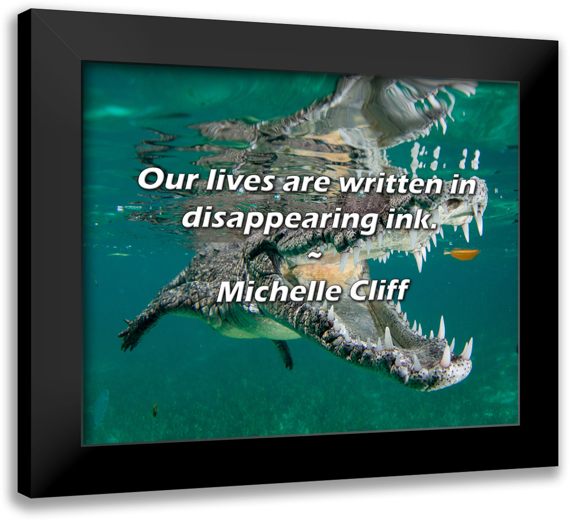 Trinx Michelle Cliff Quote: Our lives are written in disappearing ink ...