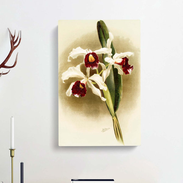 East Urban Home Magnolia Flowers Illustration Tab.25 by Frederick ...