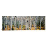 Loon Peak® Rustic Abstract Wall Decor & Reviews | Wayfair