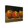 Charlton Home® 'Apple Study' Acrylic Painting Print on Wrapped Canvas ...