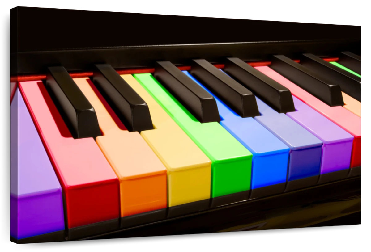 Elephant Stock Rainbow Piano Keys - Wayfair Canada