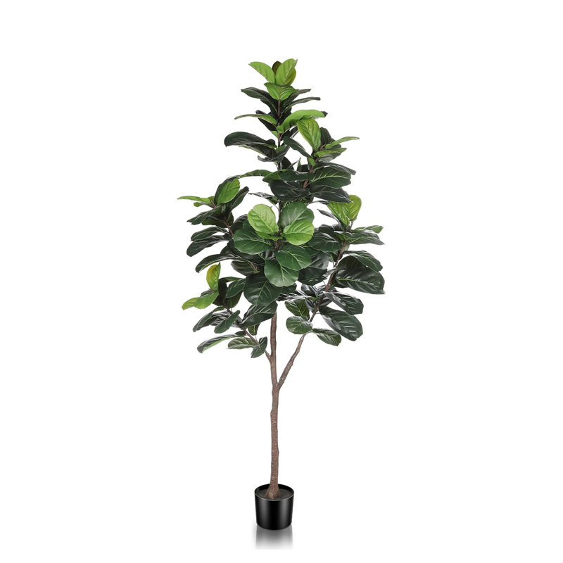 Primrue 6.5Ft Faux Ficus Lyrata With 108 Fiddle Leaves Fake Fig Silk ...