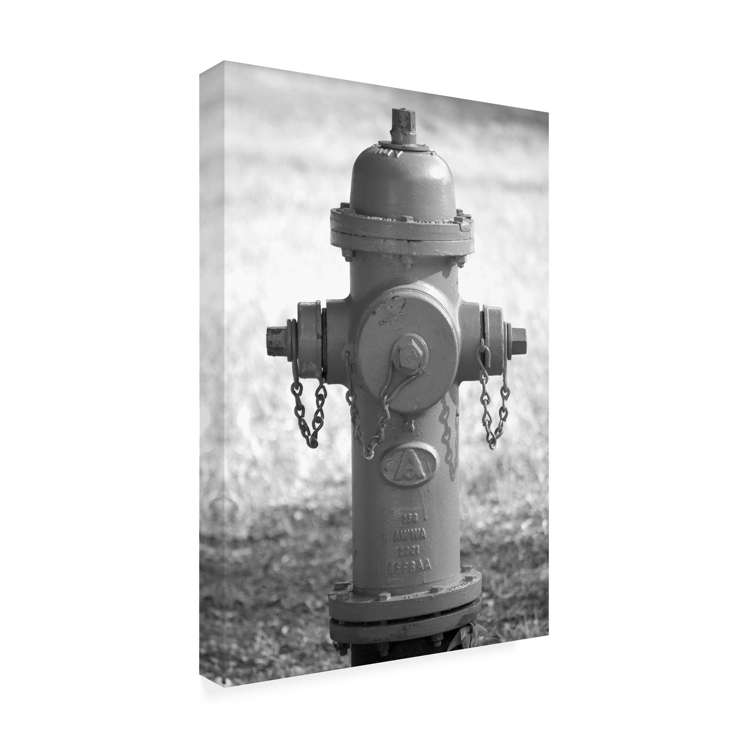 Ebern Designs Krisia Lori Hutchison Fire Hydrant Canvas Art | Wayfair
