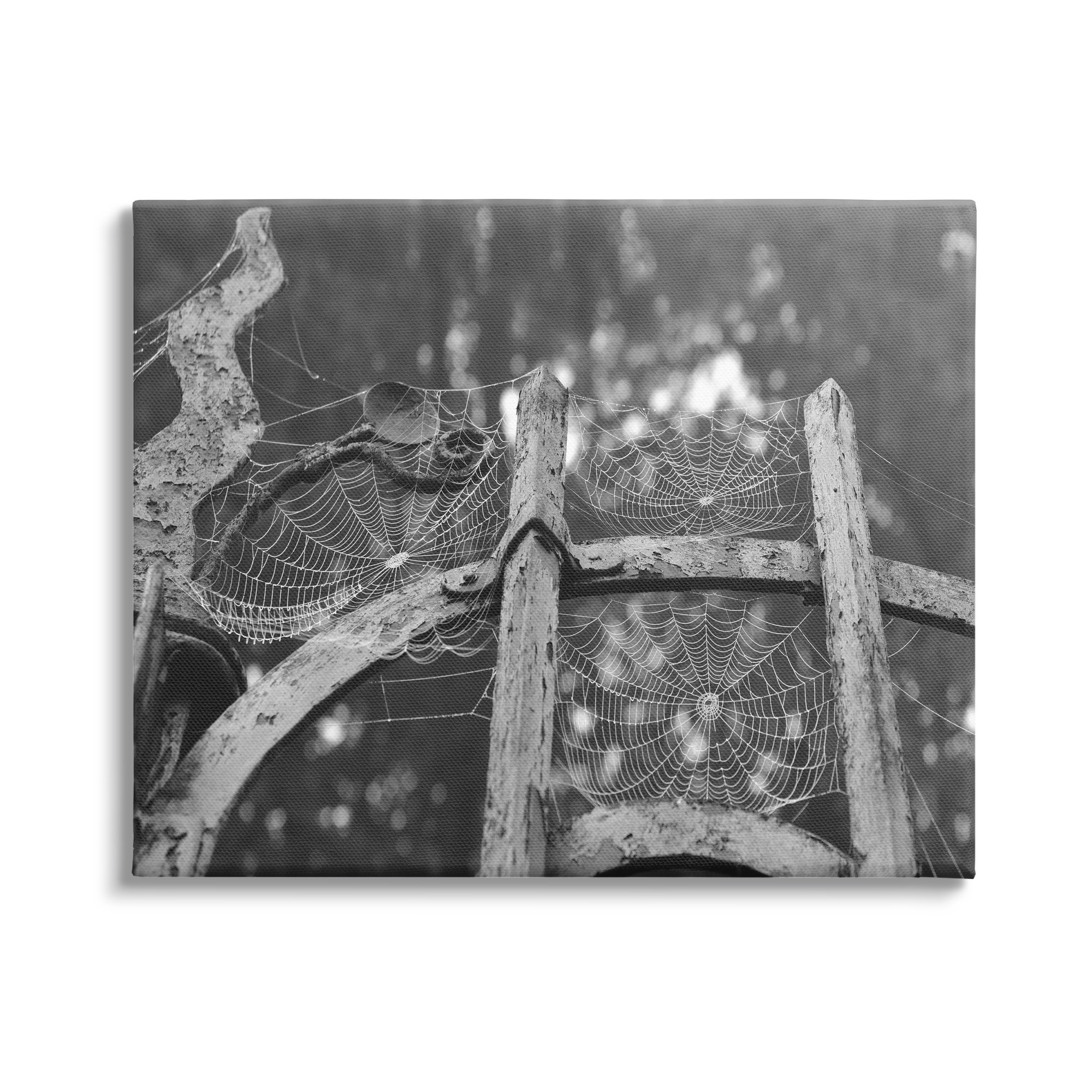 Stupell Industries Spooky Spider Webs Rustic Monochrome Gate by Daphne ...