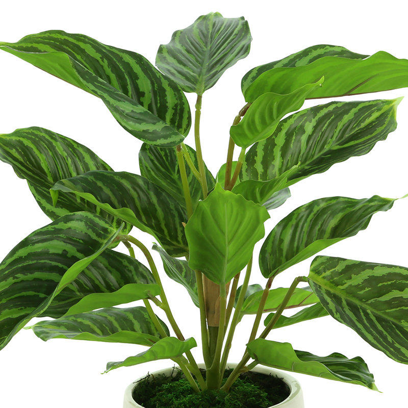 Primrue 17'' Faux Foliage Plant in Ceramic Pot | Wayfair