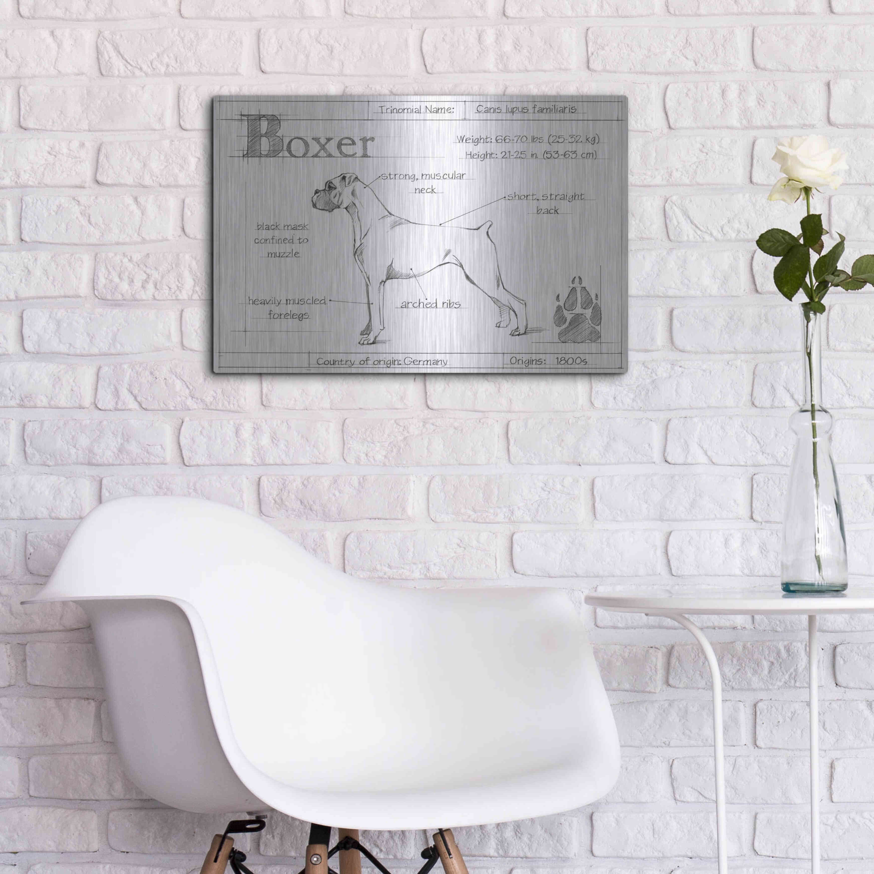 Red Barrel Studio® Inverted Blueprint Boxer by Ethan Harper - Unframed ...