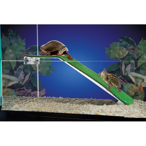Penn Plax Reptology Turtle Basking Ramp Platform - Habitat Decor - 17.5 ...