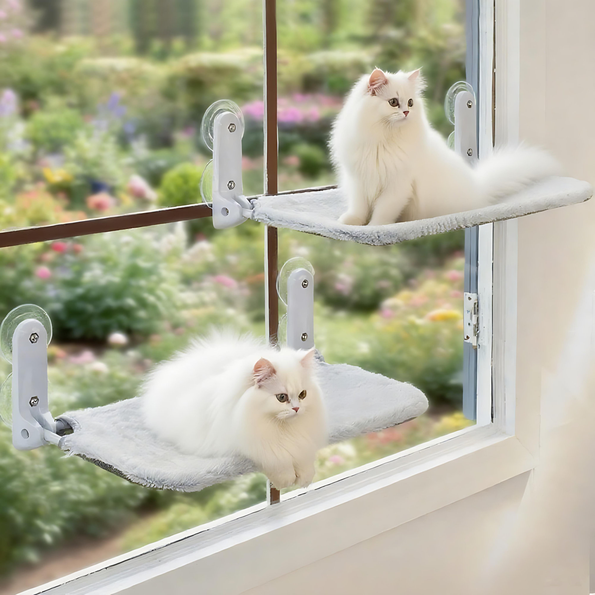 Archie & Oscar™ 2-Piece Foldable Cat Window Perch Set With Reversible ...