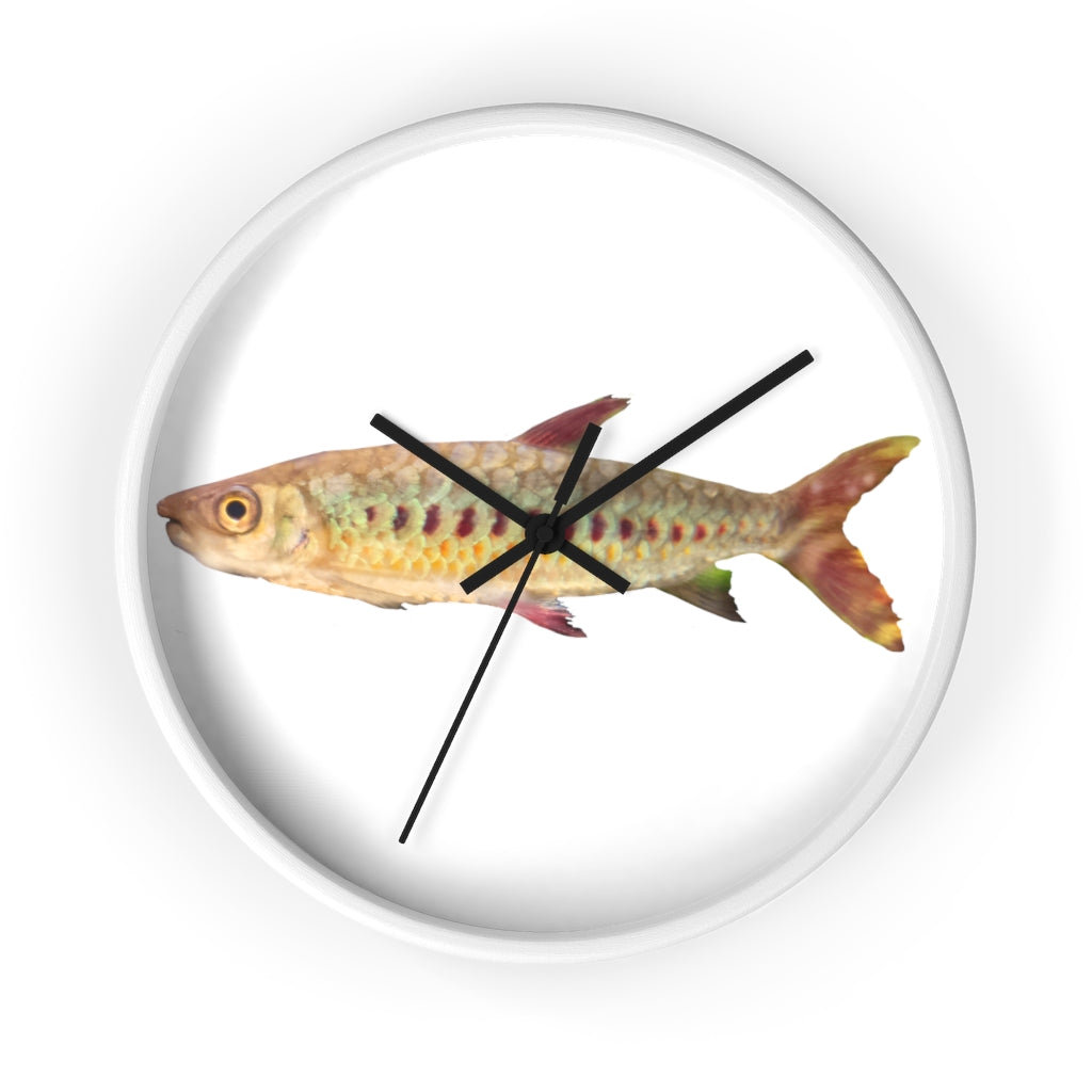 Latitude Run® Colourful Fish Wall Clock - Wayfair Canada