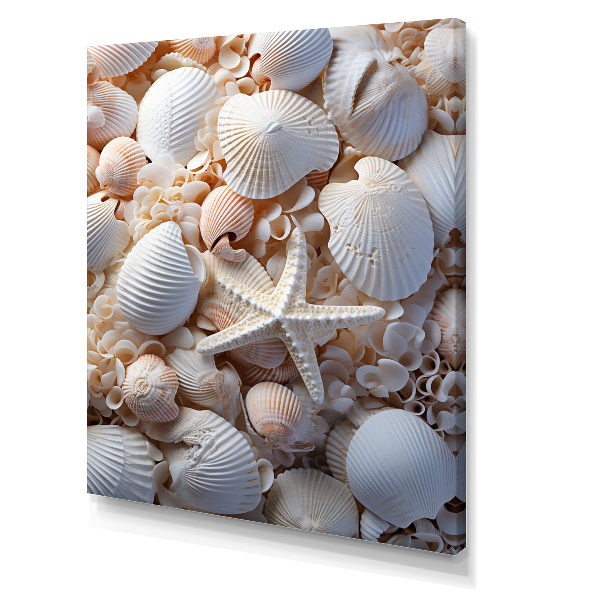 Rosecliff Heights Beach Photo Seashell Collage IX - Coastal Animal Wall ...
