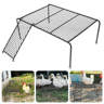 Tucker Murphy Pet™ Rutin Chicken Platform Rutin Chicken Cage ...