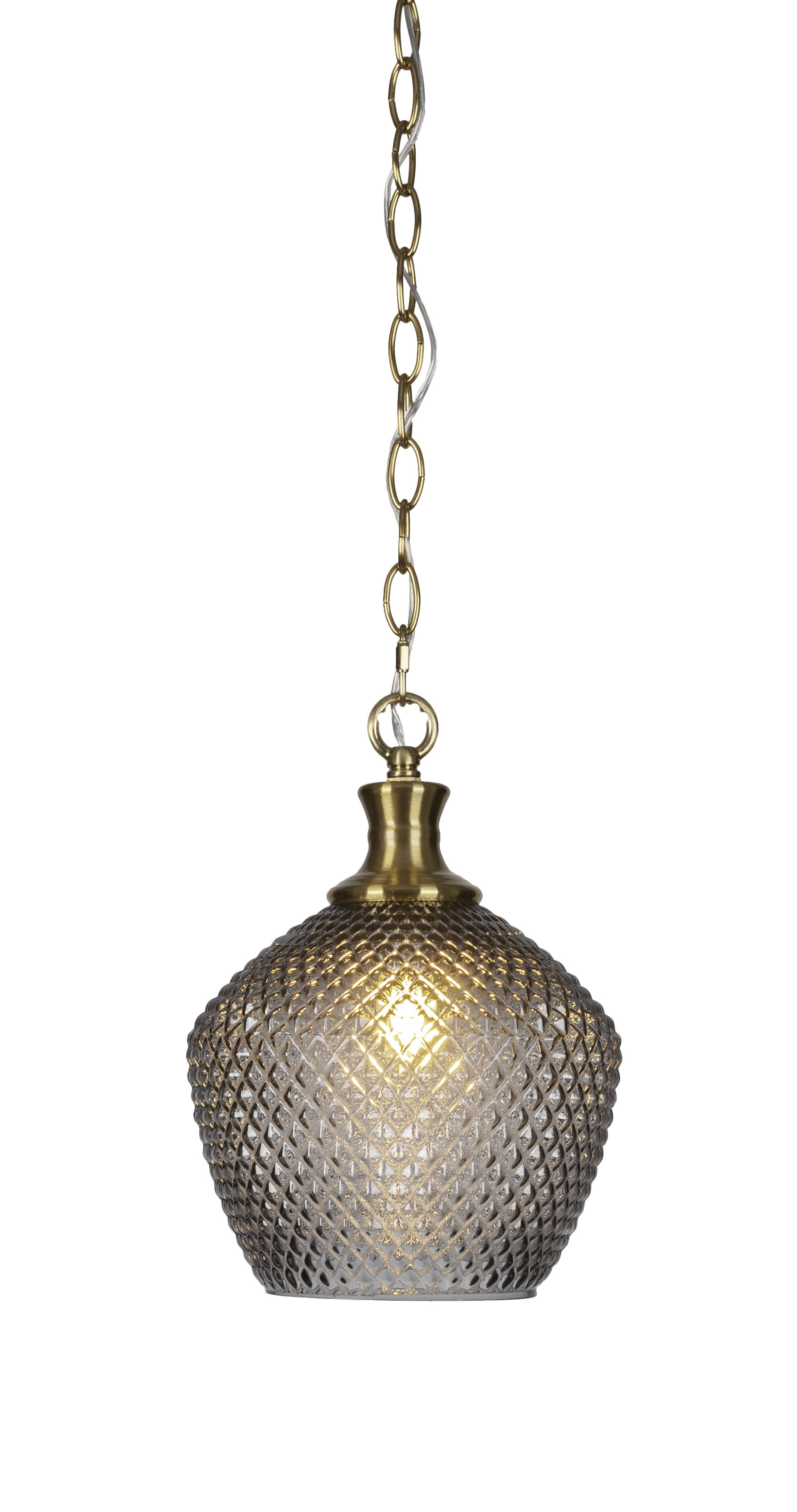 Red Barrel Studio® Zola Chain Hung Pendant & Reviews | Wayfair