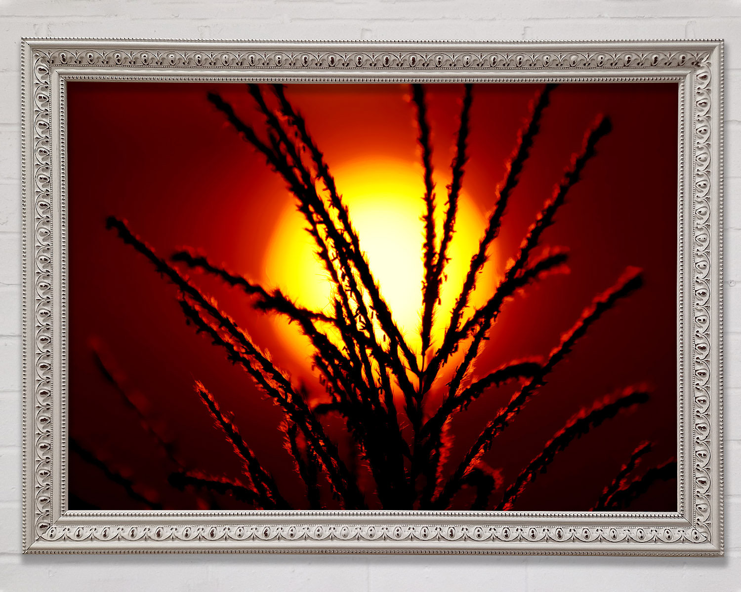 Bright Star As The Sun Lights Up The Reeds - Single Picture Frame Art ...