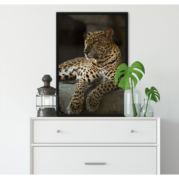 Latitude Run Majestic Leopard - Single Picture Frame Print | Wayfair.co.uk