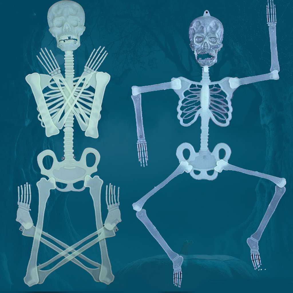 The Holiday Aisle® 2 Pack Halloween Hanging Luminous Skeleton ...