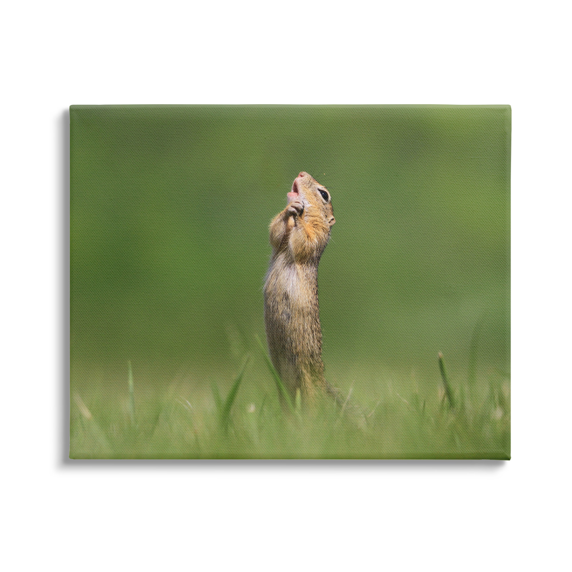 Ebern Designs O Sole Mio Funny Animal On Canvas by Roland Kranitz Print ...