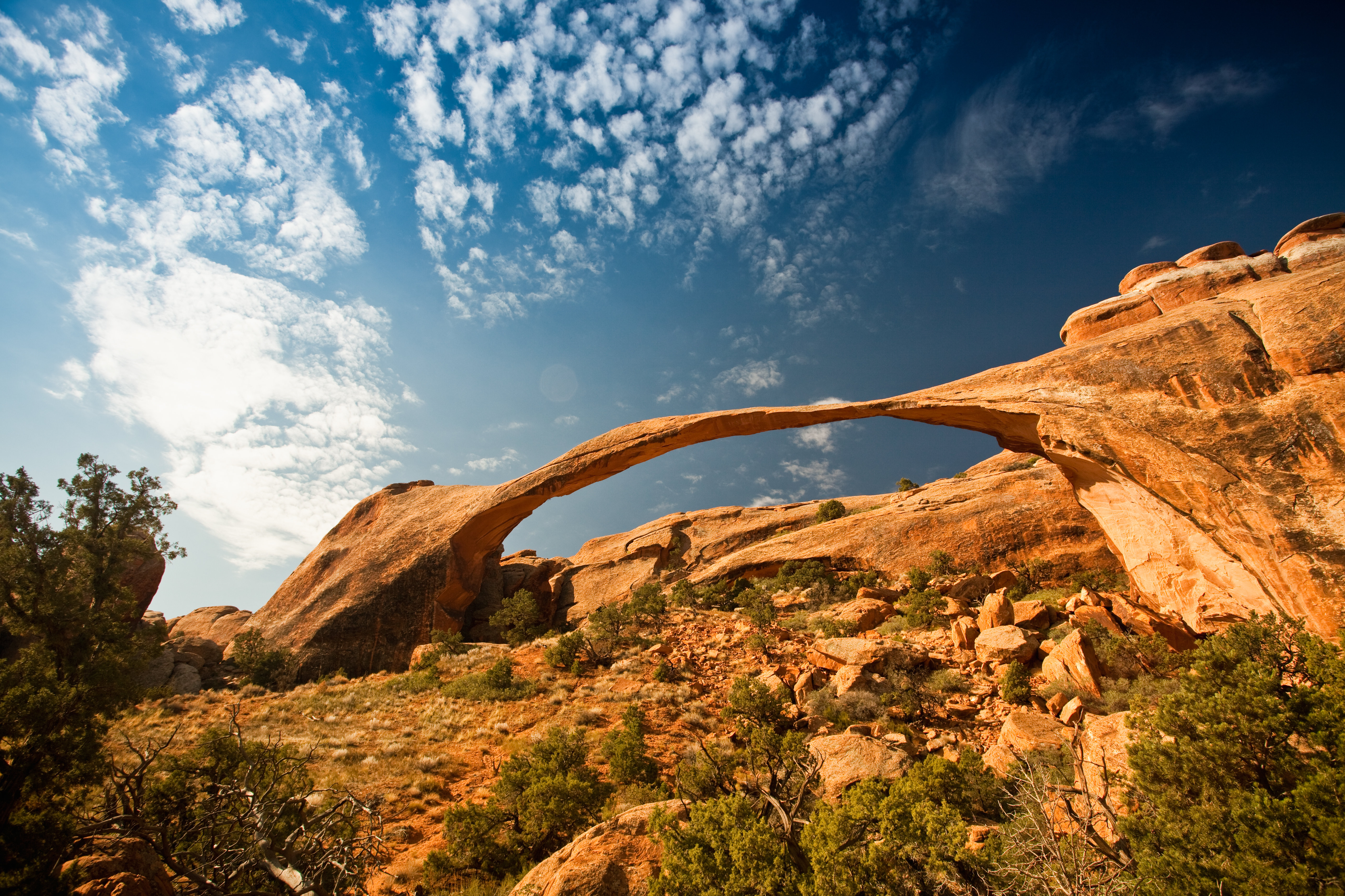 Union Rustic Landscape Arch Rock Formation by Pgiam | Wayfair