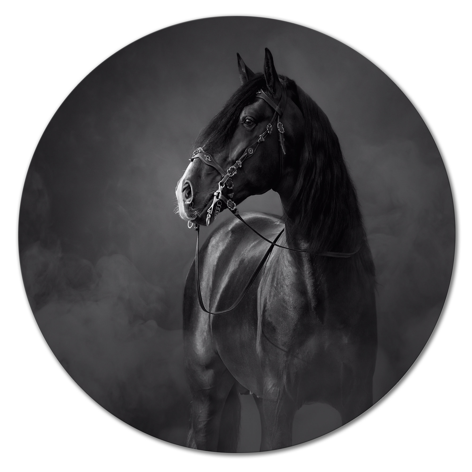 East Urban Home Portrait Of A Black Andalusian Horse - Traditional ...