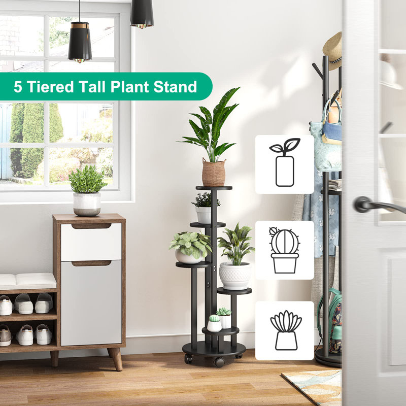 Ebern Designs Cirota Plant Stand & Reviews | Wayfair