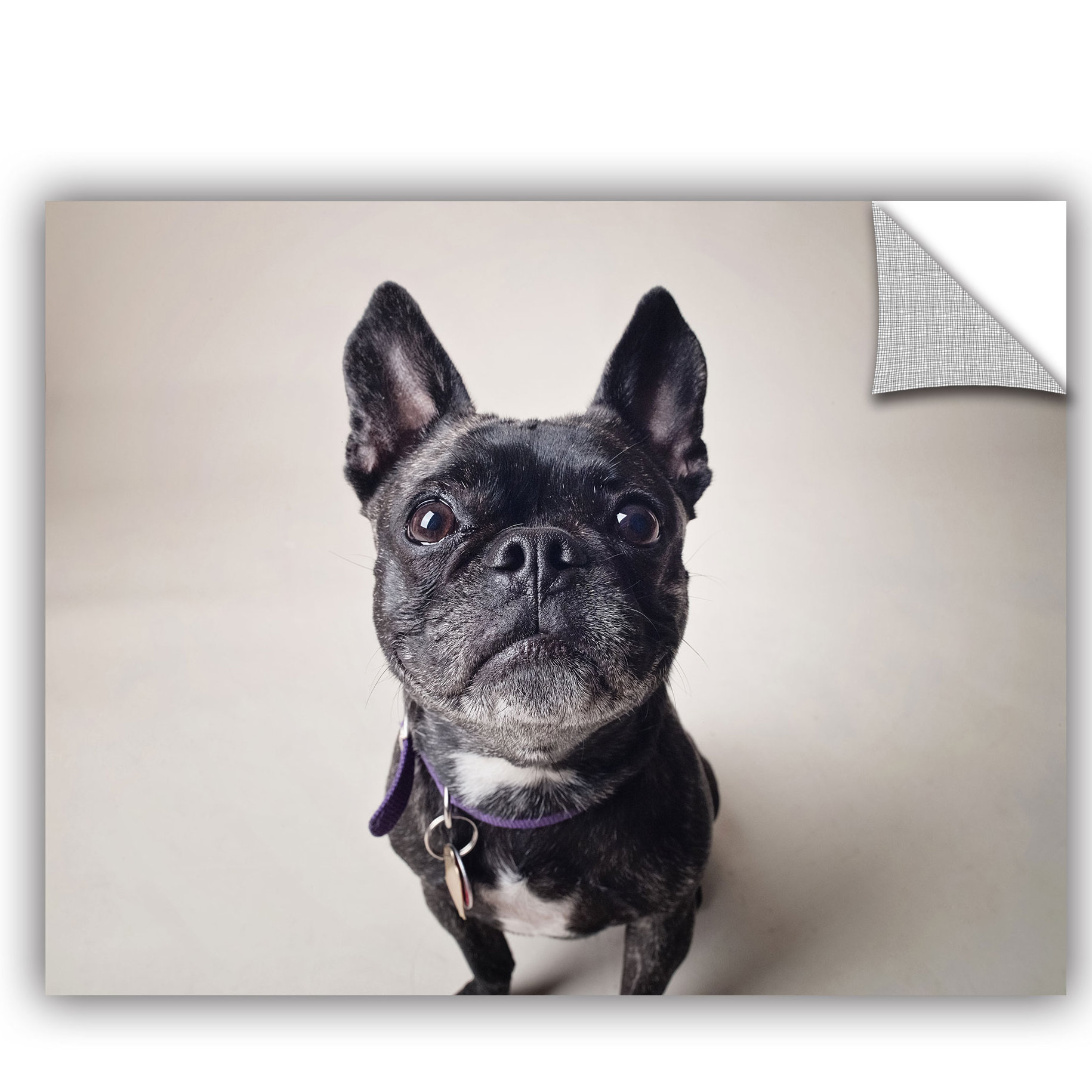 ArtWall Susan Sabo Bailey Removable Wall Decal - Wayfair Canada