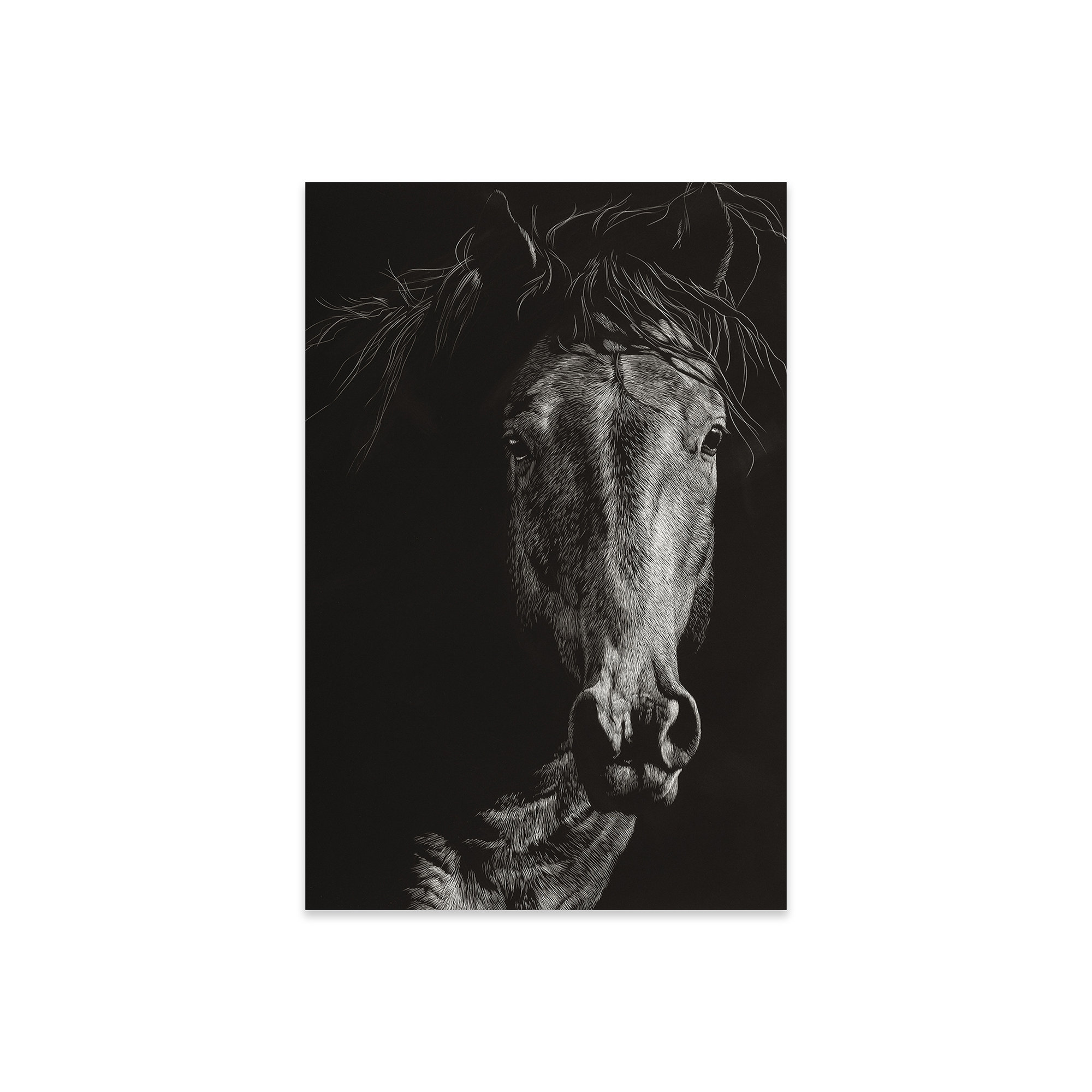 Union Rustic Wild Scratchboard VI Print On Acrylic Glass - Wayfair Canada