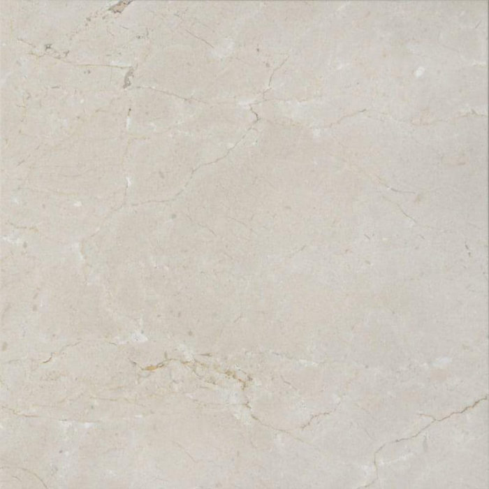 Tile & Mosaic Depot 24" x 24" Marble Marble Look Wall & Floor Tile ...