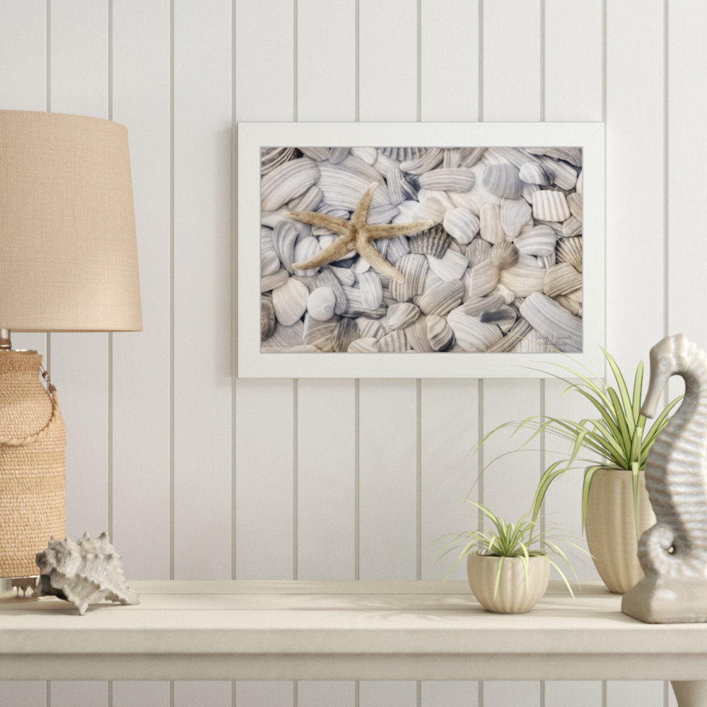 Highland Dunes Starfish and Seashell Framed Wall Art for Living Room ...