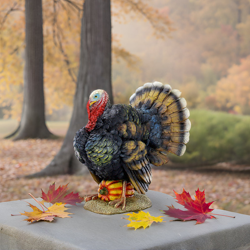 Design Toscano Thomas the Turkey Statue & Reviews | Wayfair