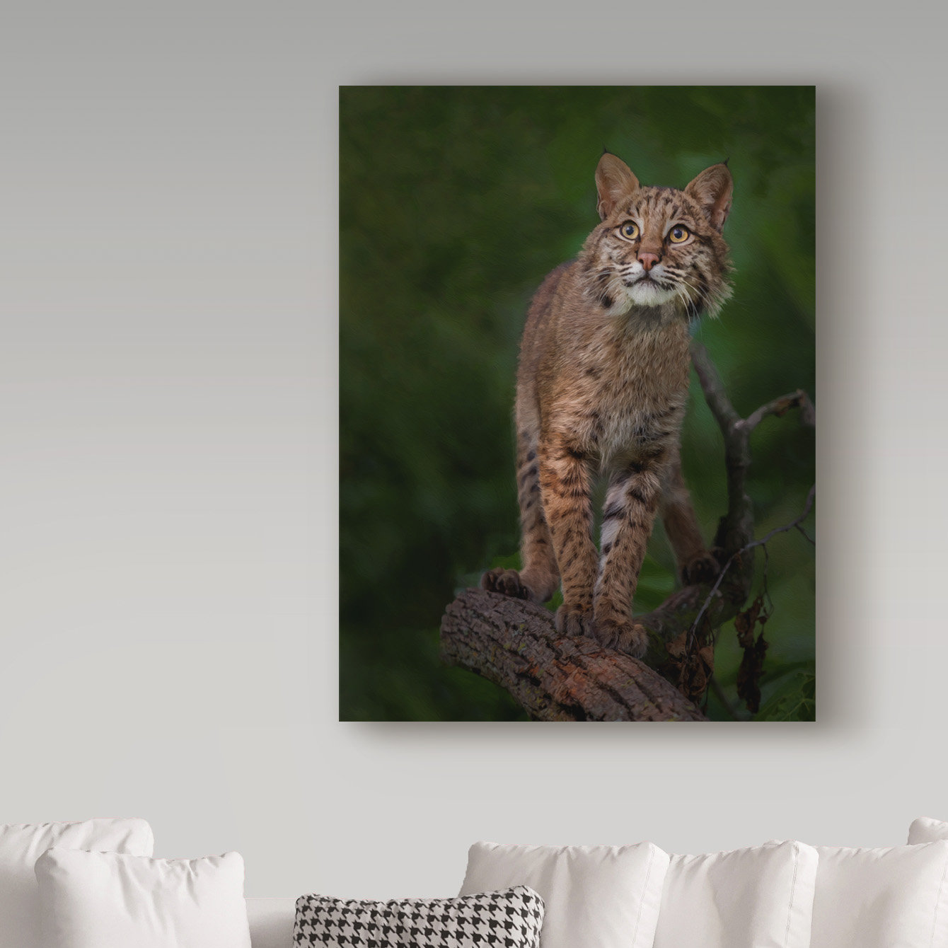 Trademark Fine Art 'Bobcat Poses on Tree Branch 1' Photographic Print ...