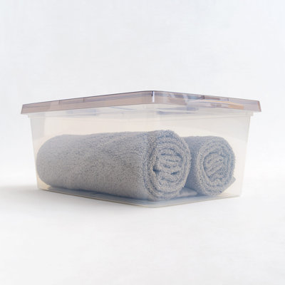 Wayfair Basics® Didmarton Snap Top Plastic Storage Box & Reviews | Wayfair