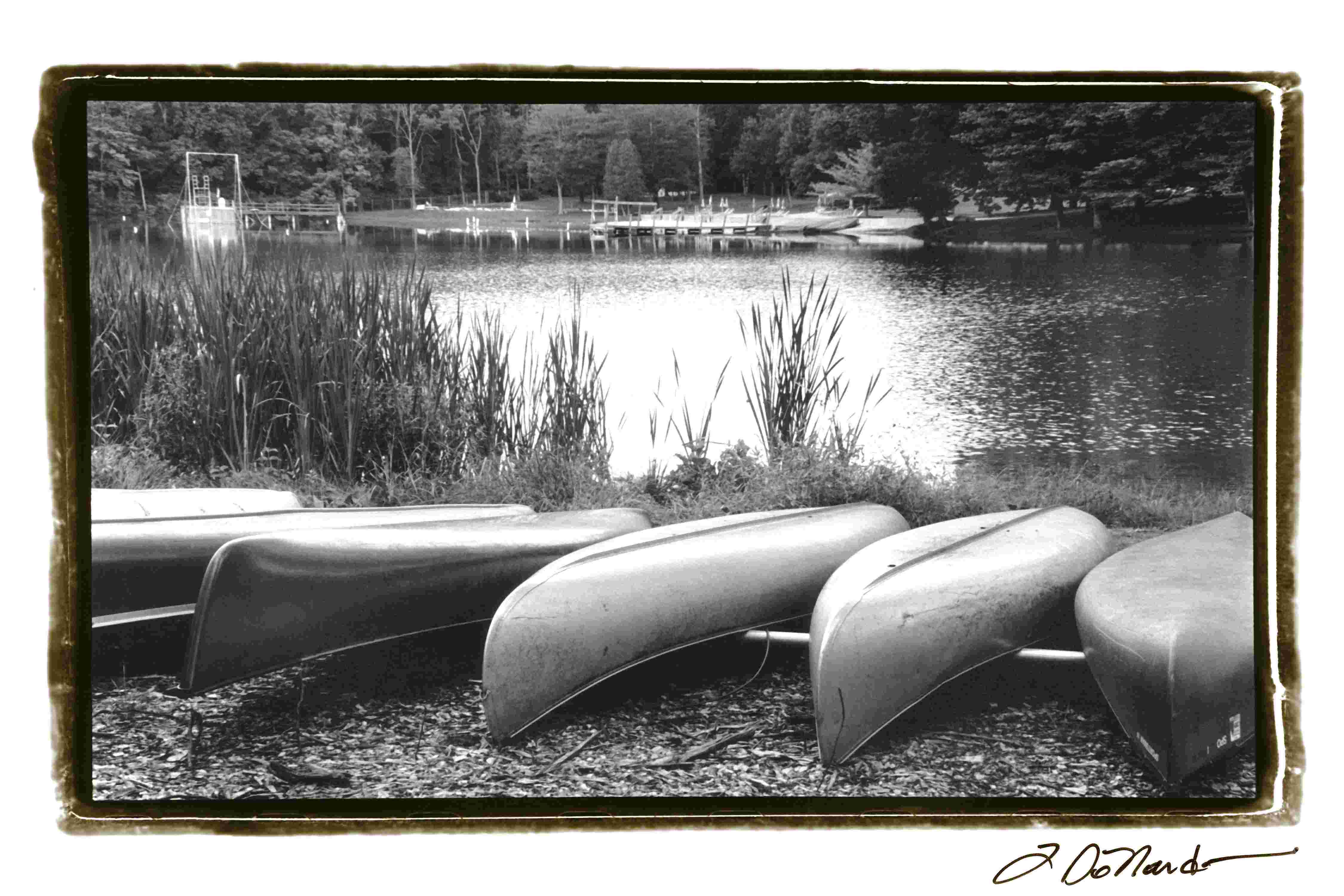 Longshore Tides Lake Living I - Wayfair Canada