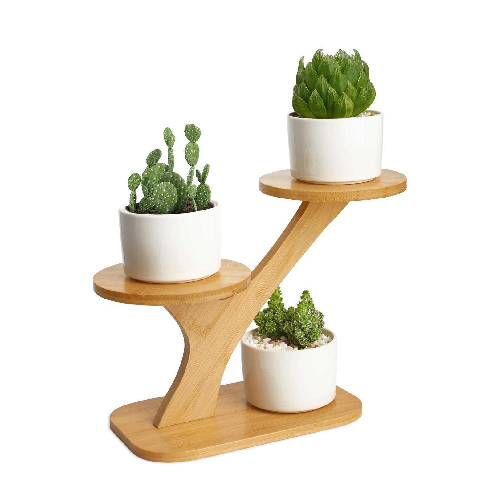 Brayden Studio Doylene Plant Stand - Wayfair Canada