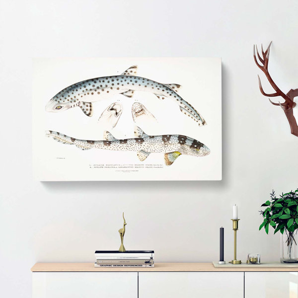 East Urban Home Bearded Sharks by John Edward Gray - Wrapped Canvas ...